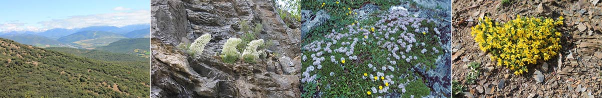 Botanical Excursions - ISU - International Hardy Plant Union